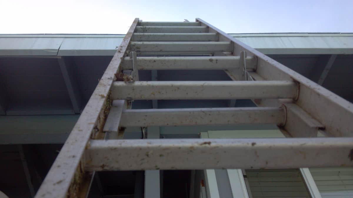 Ladder-Scaled – RobbLightfoot.com